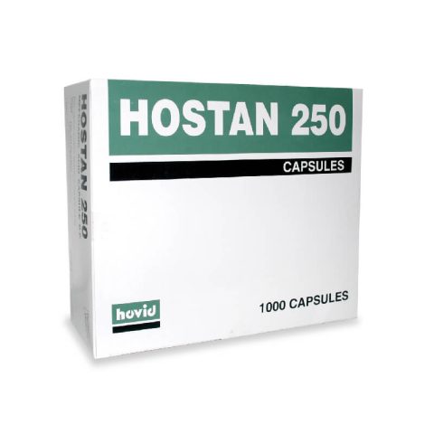 Hovid Hostan 250mg Capsule | Hovid